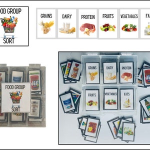 Special Education Task Box | Food Groups | Sorting Task | Autism Task ...