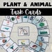 Plant or Animal Task Cards | Clip Cards for Science | Habitat Sorting ...