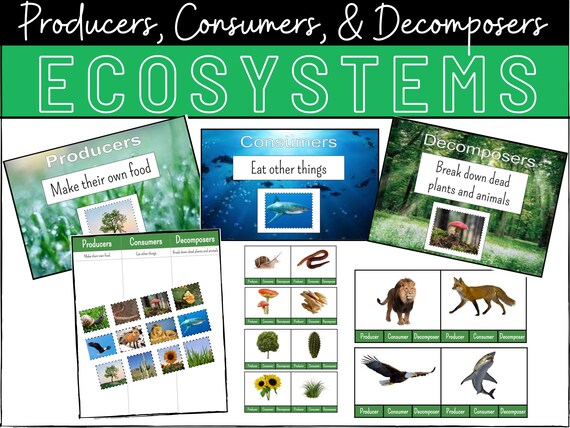 Producers In Science