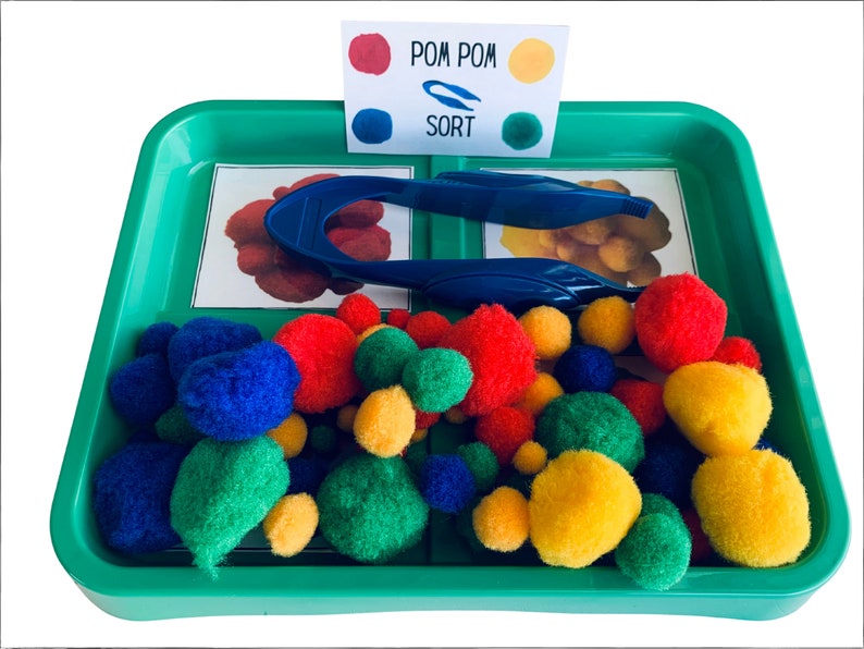 Pom Pom Sorting Fine Motor Task With Color Sorting - Etsy