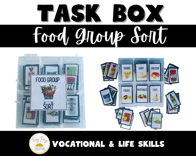 Special Education Task Box | Food Groups | Sorting Task | Autism Task ...