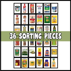 Food Group Sorting Mats With Visual Key | Food Pyramid | FACS | Special ...