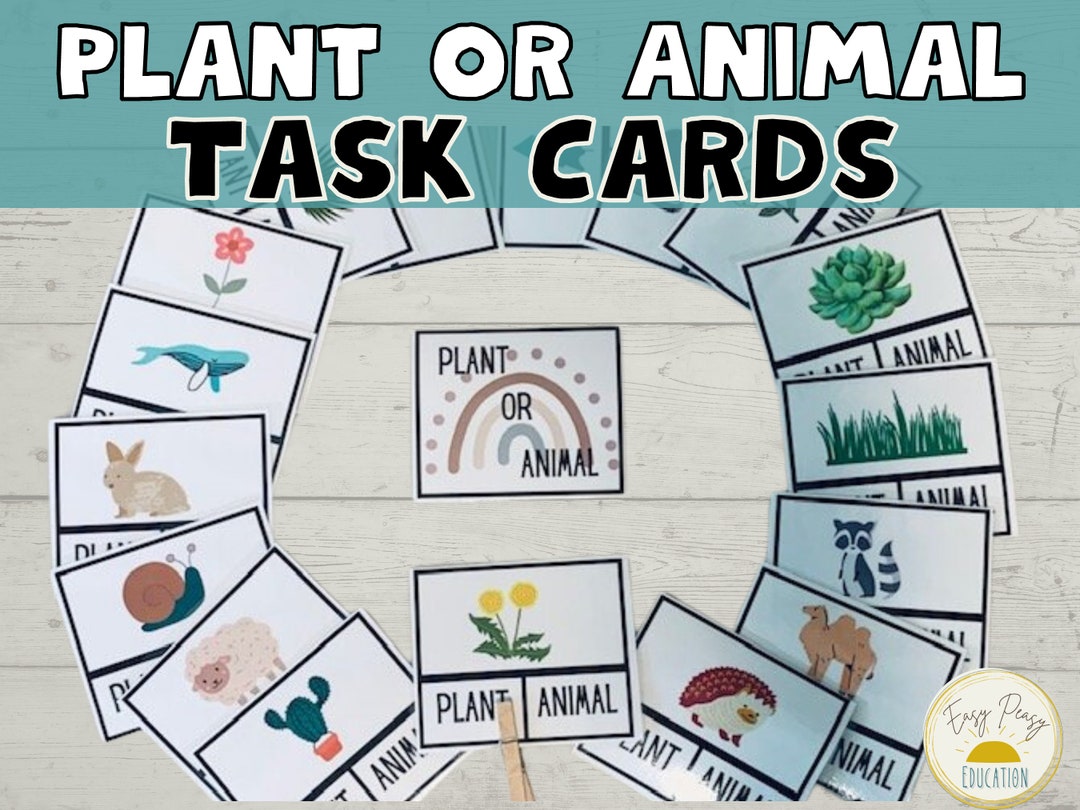 Plant or Animal Task Cards Clip Cards for Science Habitat Sorting ...