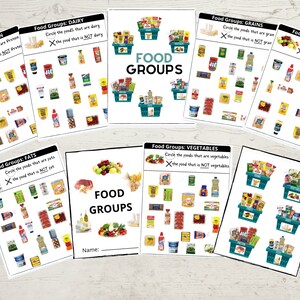 Food Group Printable Packet Food Pyramid Resource Healthy - Etsy