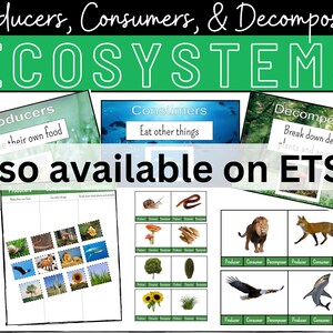 Plant or Animal Task Cards | Clip Cards for Science | Habitat Sorting ...