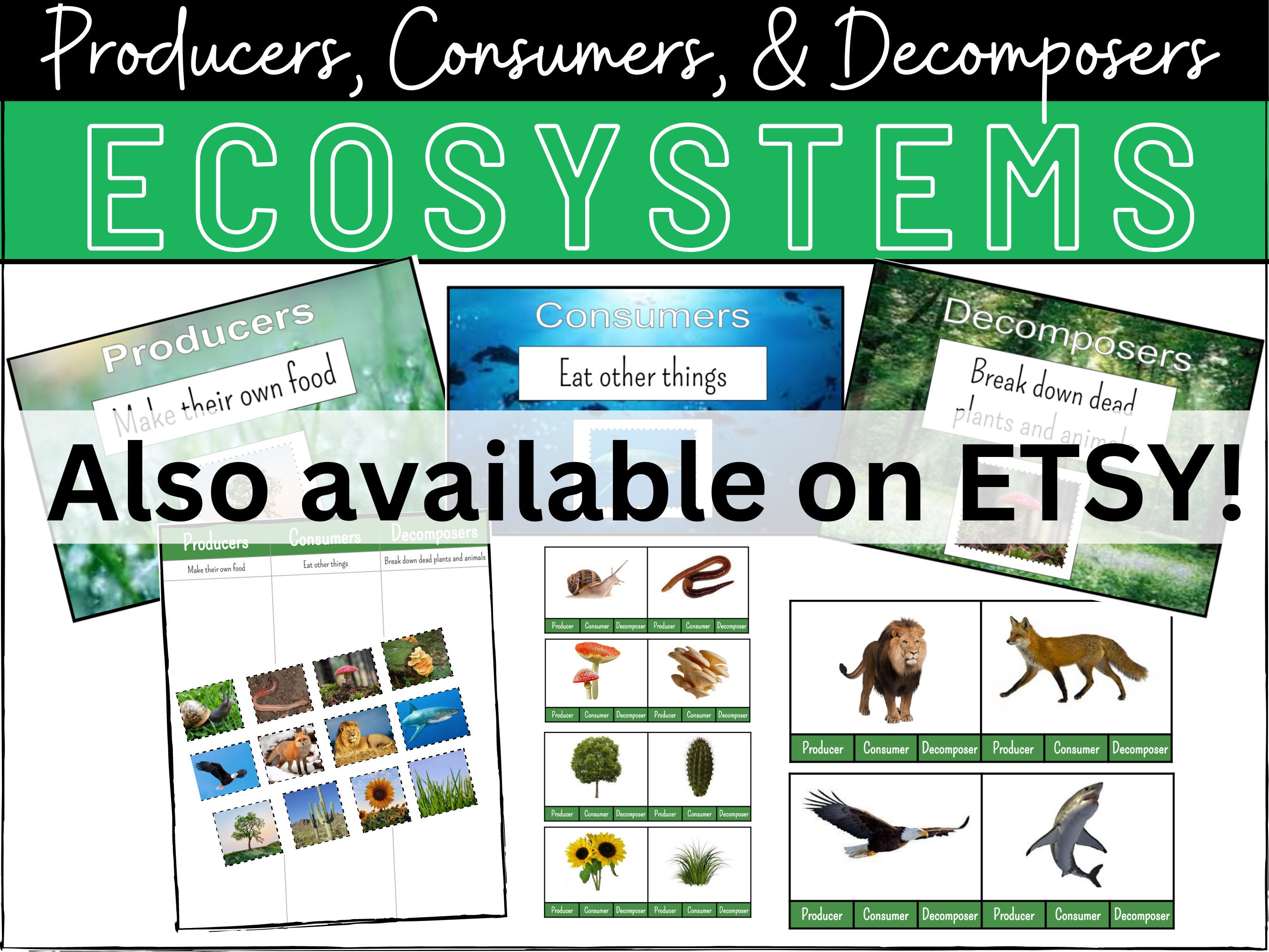 Plant or Animal Task Cards | Clip Cards for Science | Habitat Sorting ...