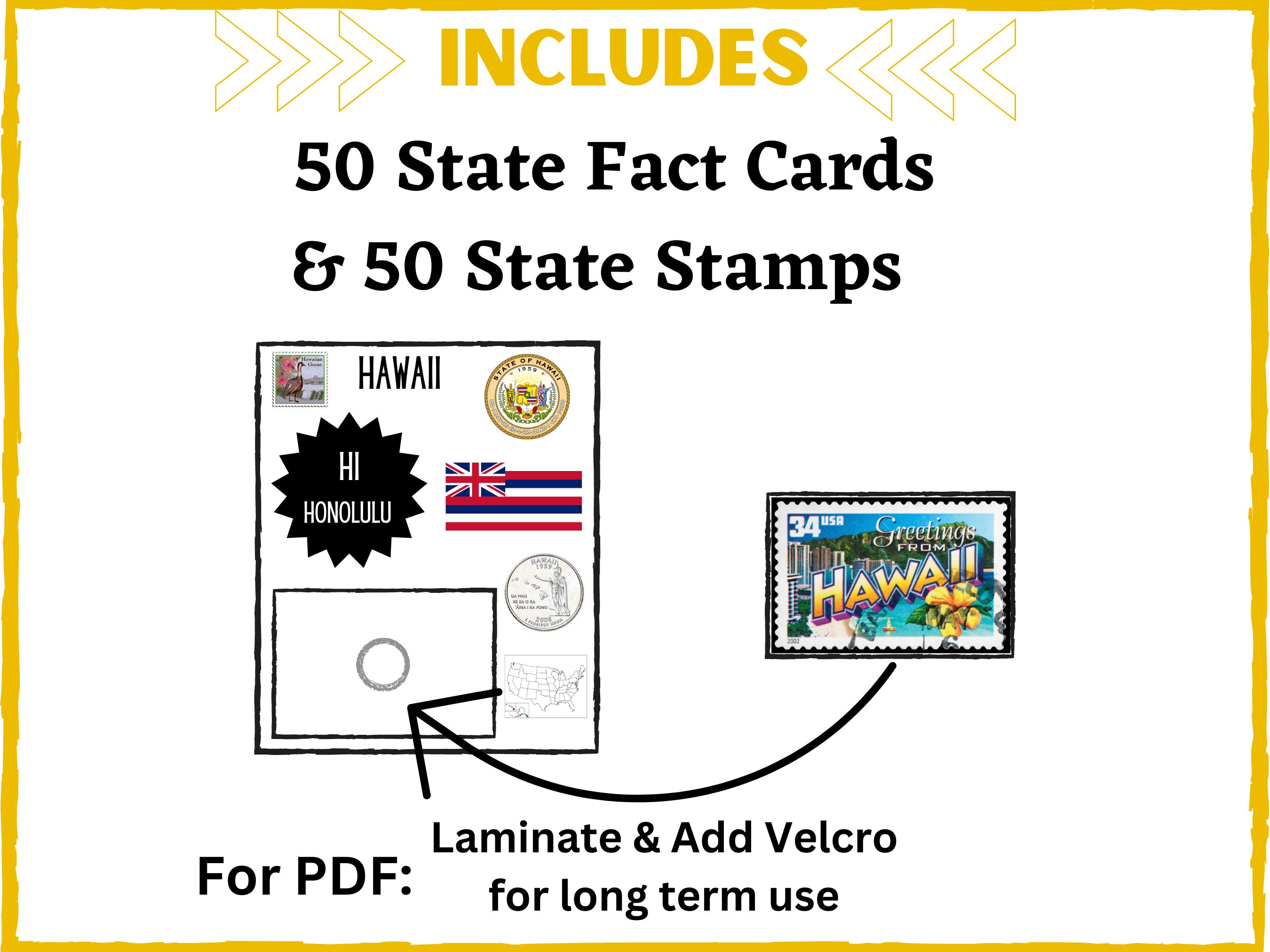 United States Fact Cards | US States and Capitals | 50 States | State ...