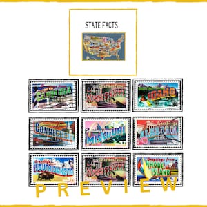 United States Fact Cards | US States and Capitals | 50 States | State ...