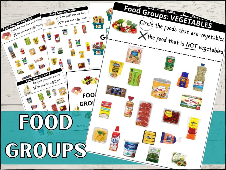Food Group Printable Packet Food Pyramid Resource Healthy - Etsy