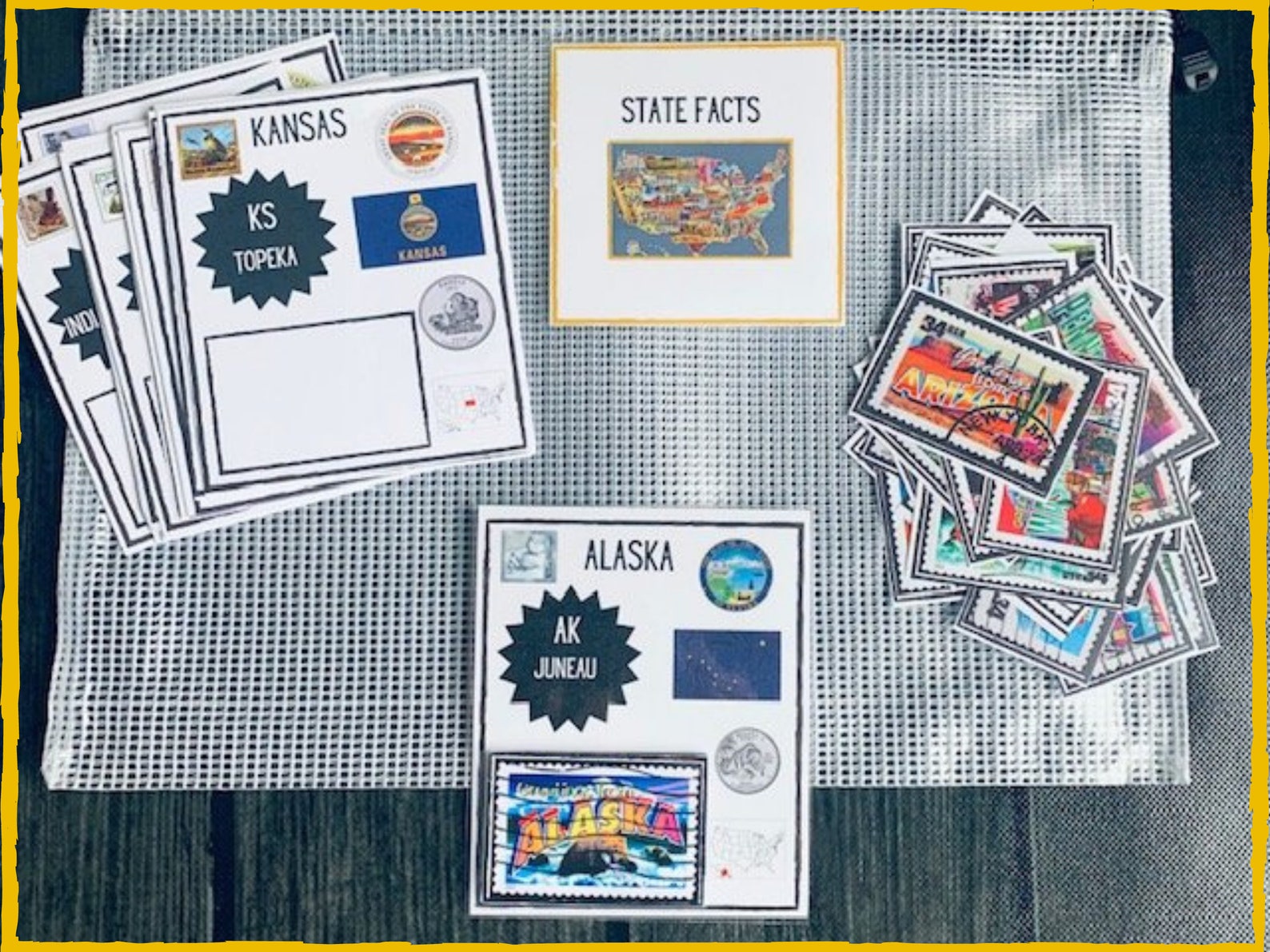 United States Fact Cards | US States and Capitals | 50 States | State ...