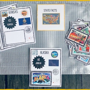 United States Fact Cards | US States and Capitals | 50 States | State ...