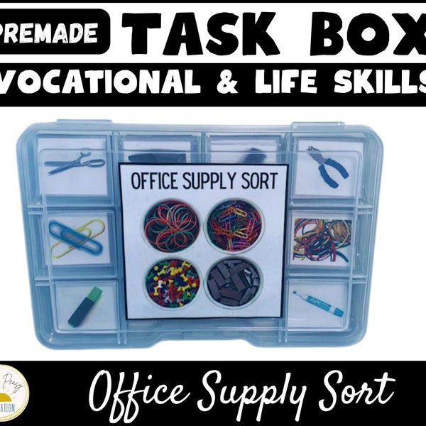 Task Box Special Education - Etsy
