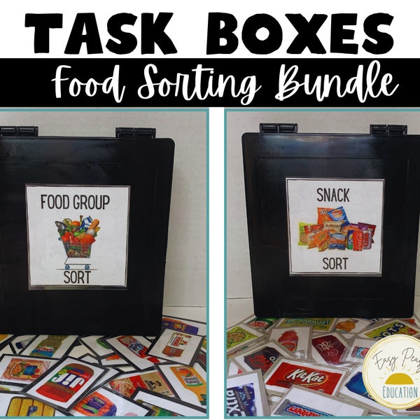 Task Boxes Special Education - Etsy