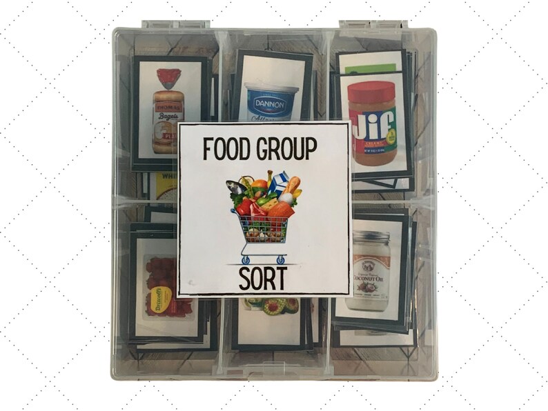 Special Education Task Box Food Groups Sorting Task - Etsy