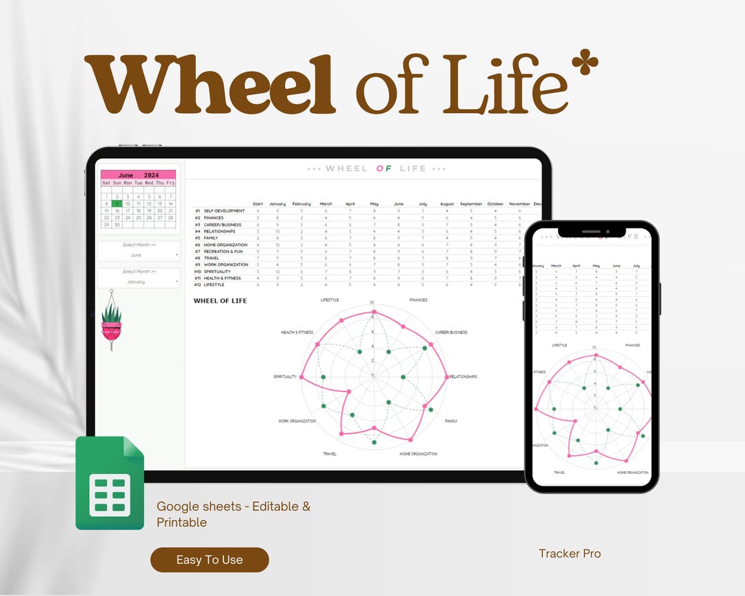 Life Balance Wheel, Wheel of Life, Worksheet Template, Coaching ...