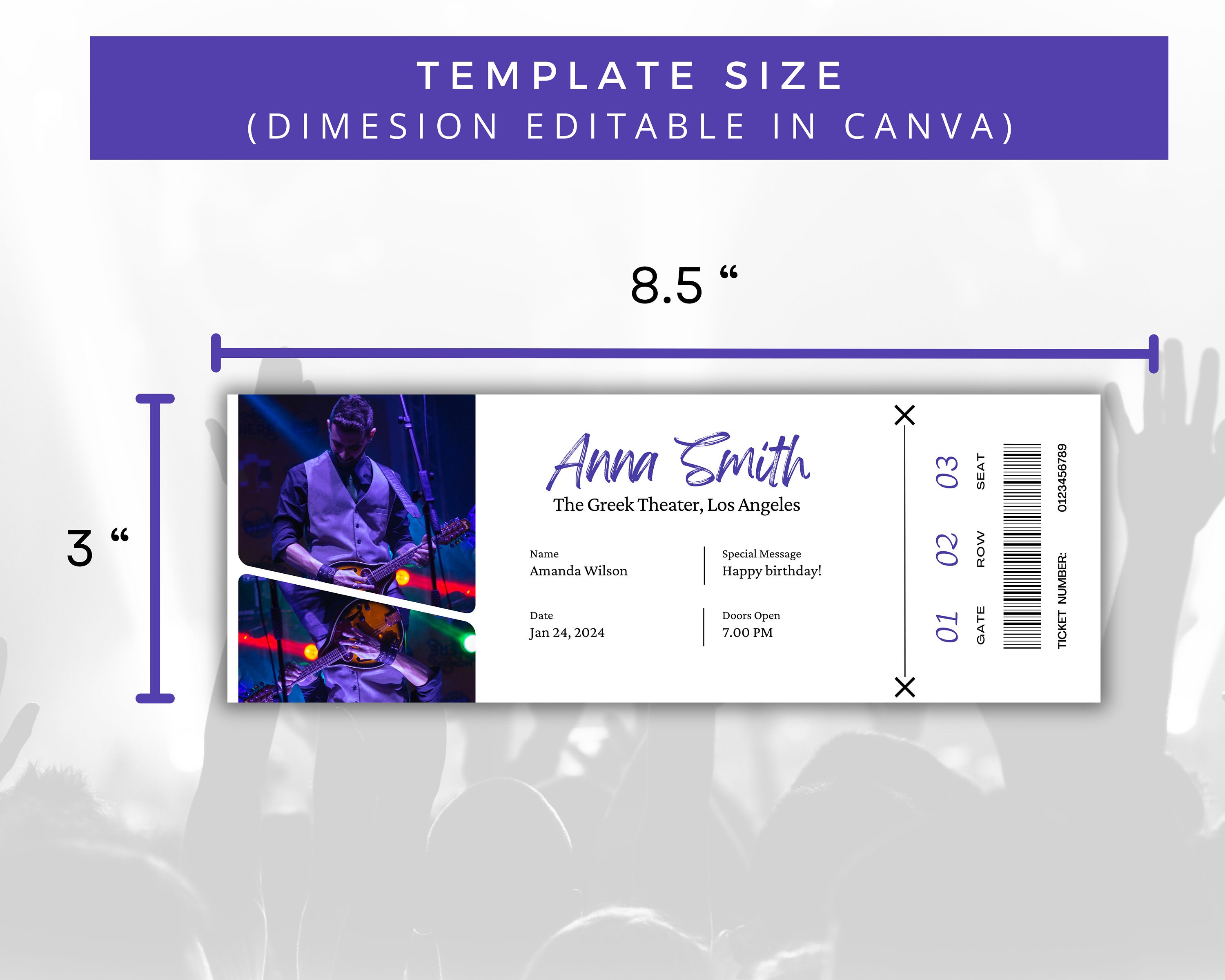 Editable Concert Ticket Template, Printable Event Ticket, Custom ...