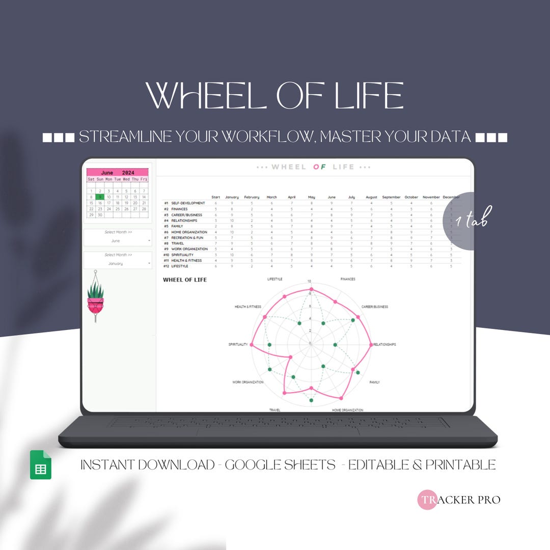 Editable Life Balance Wheel Google Sheets Template, Wheel of Life ...
