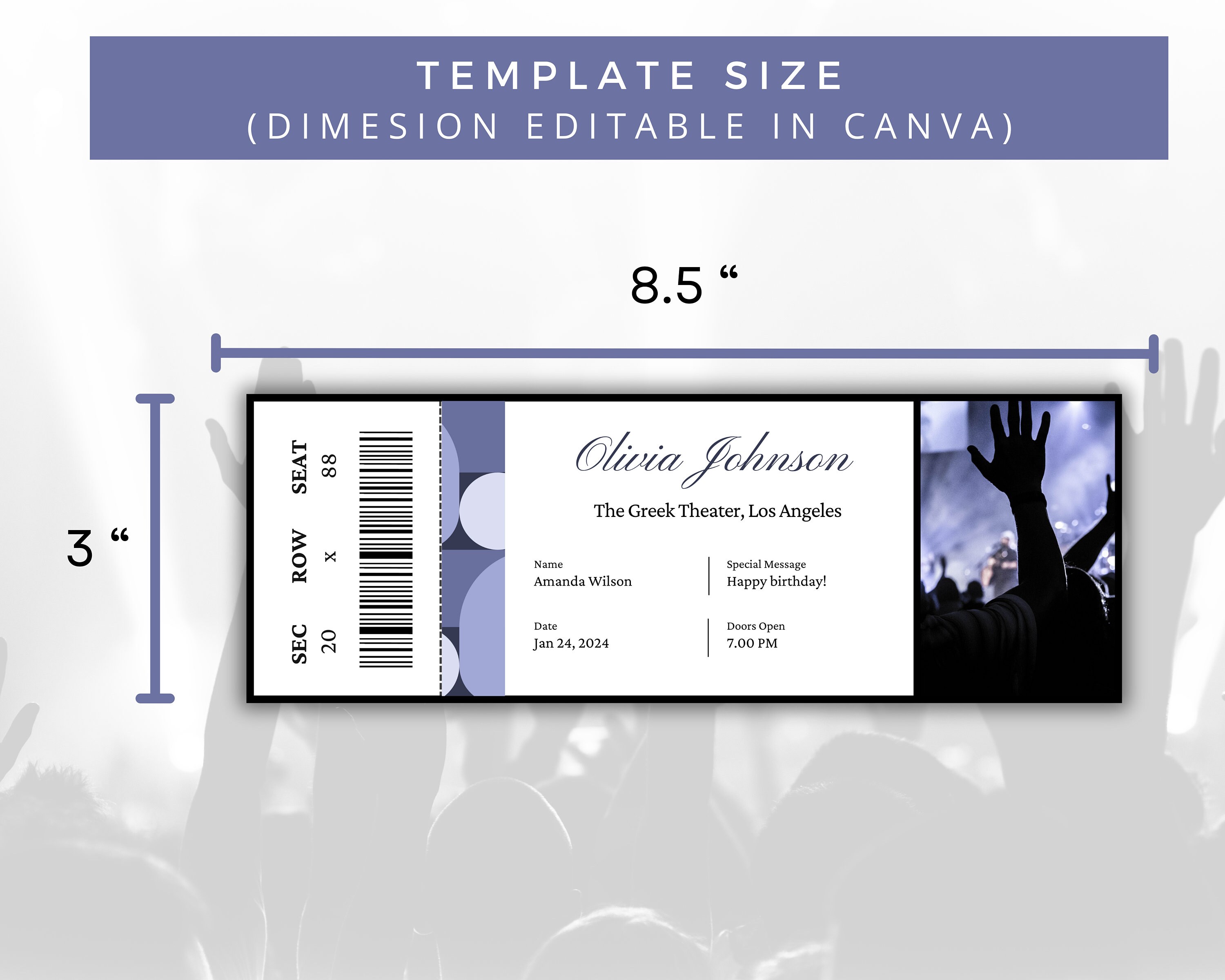 Editable Concert Ticket Template, DIY Event Ticket, Custom Concert ...