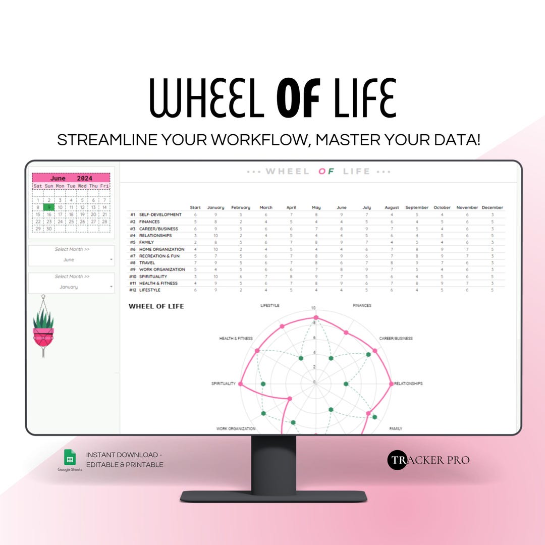 Life Wheel, Daily Planner Sheet, Life Balance Wheel, Daily Hourly ...