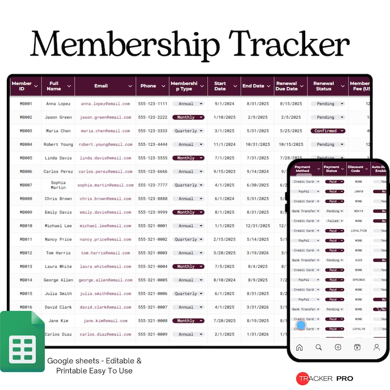 Membership Excel Sheet - Etsy