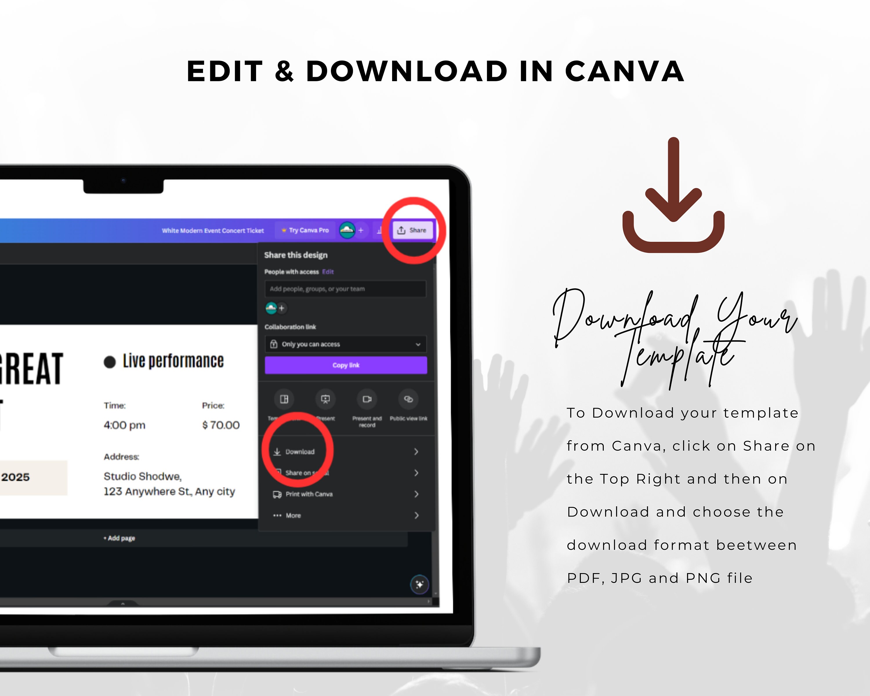 Event Ticket Template, Concert Ticket Canva Template, Editable Concert ...
