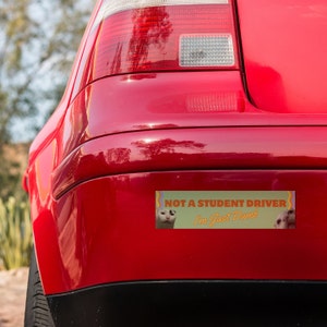 Cat Meme Bumper Sticker and Funny Bumper Magnet Gen Z, Cat Car Sticker ...