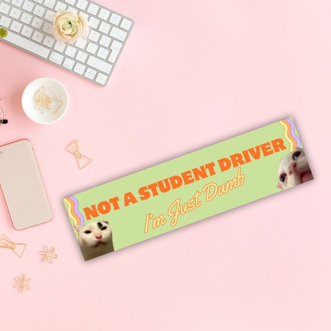 Cat Meme Bumper Sticker and Funny Bumper Magnet Gen Z, Cat Car Sticker ...