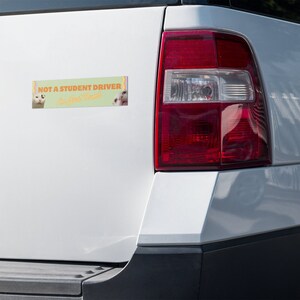 Cat Meme Bumper Sticker and Funny Bumper Magnet Gen Z, Cat Car Sticker ...