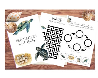 Sea Turtles Mini Science Unit, Sea Turtles Unit, Sea Turtles - Etsy
