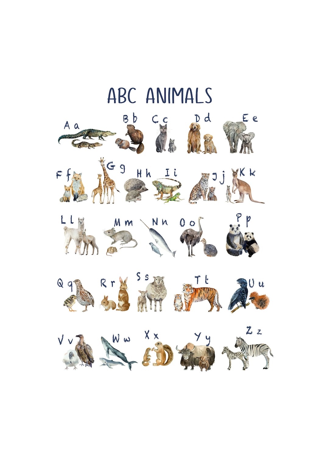 ABC Animal Nature Reference Posters - Etsy