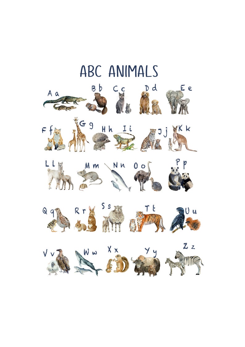ABC Animal Nature Reference Posters - Etsy
