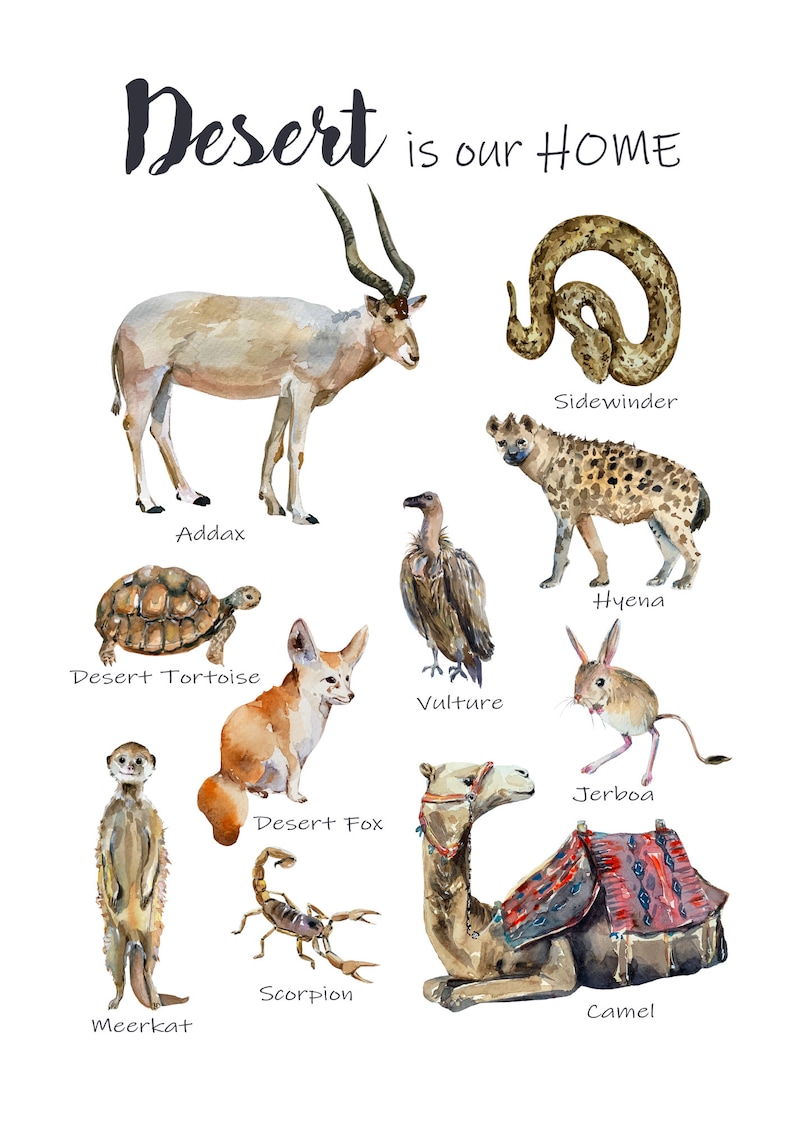 Desert Animals Digital Print - Etsy
