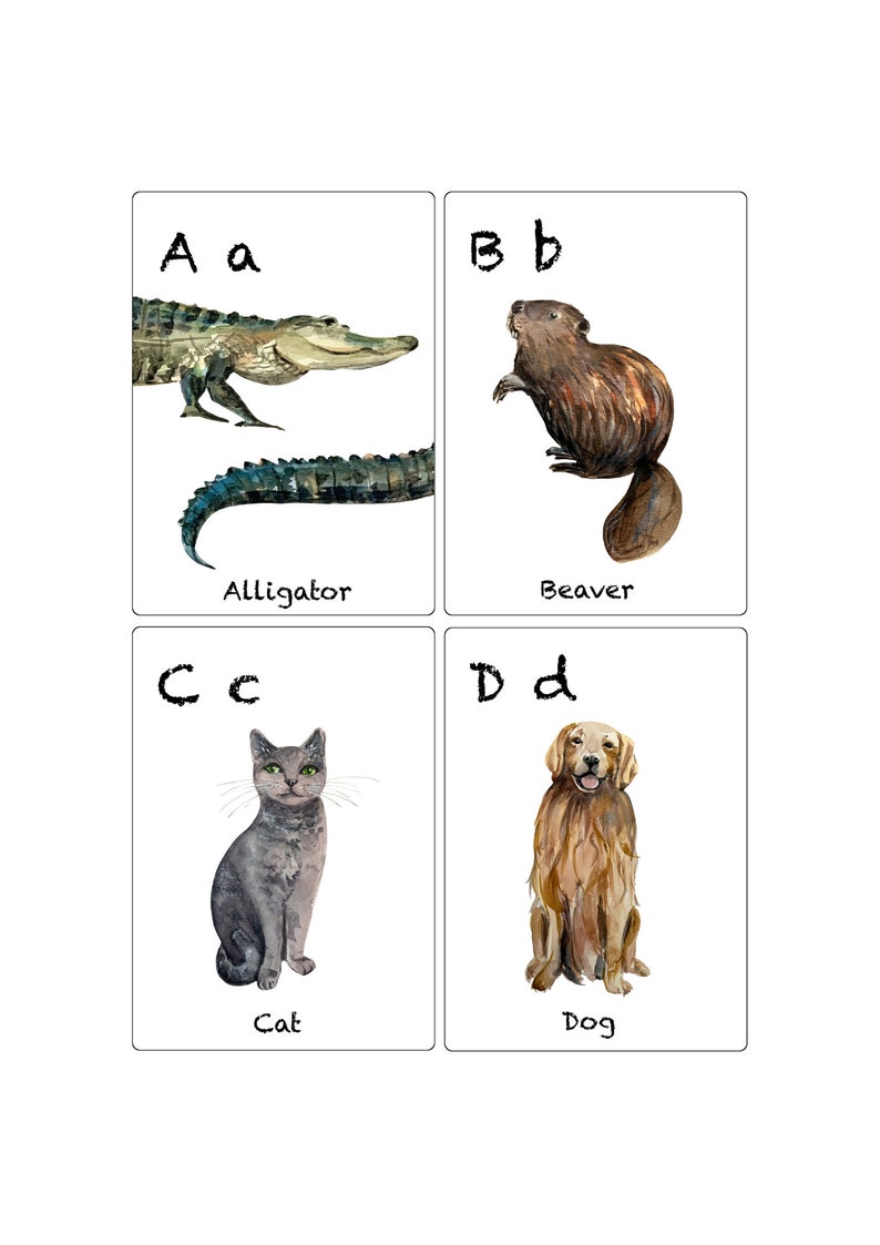 ABC Printable Animal Alphabet Cards - Etsy