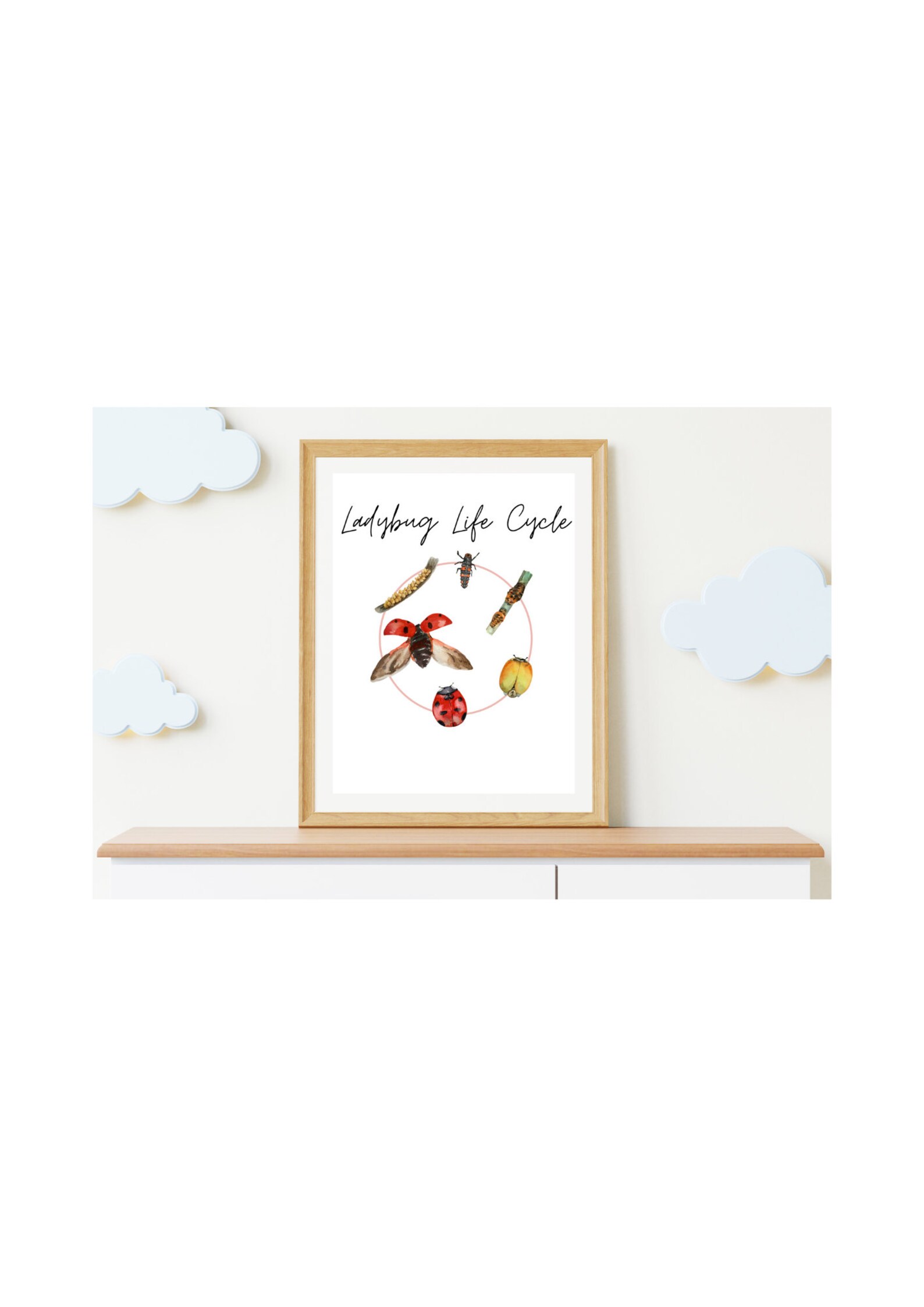 Ladybug Life Cycle Nature Print Wall Art - Etsy