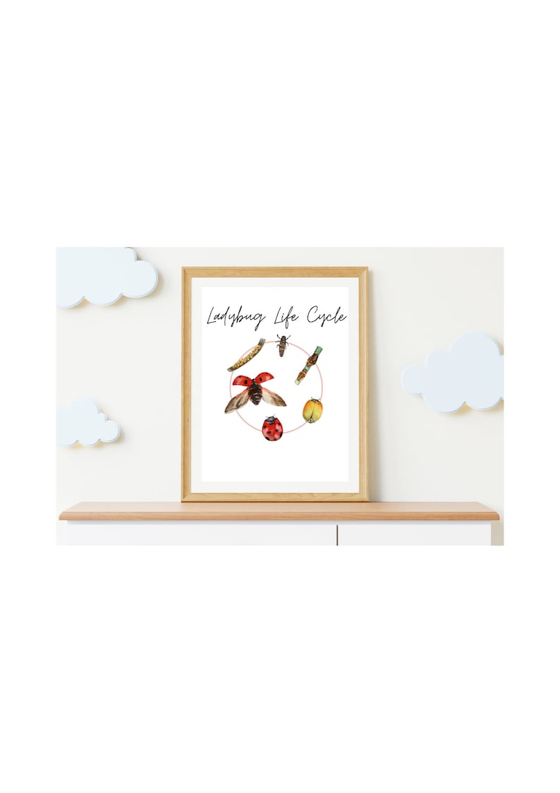 Ladybug Life Cycle Nature Print Wall Art - Etsy