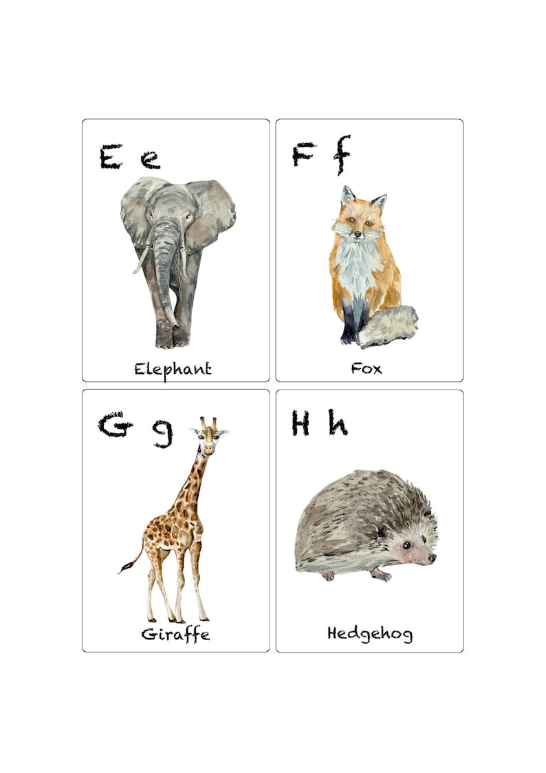 ABC Printable Animal Alphabet Cards - Etsy