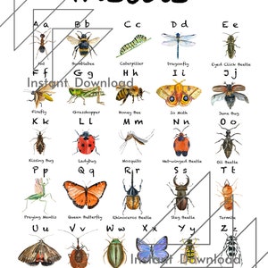 Insect Alphabet Printable Art - Etsy