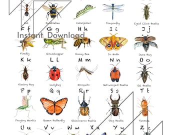 A-Z 26 Insect Art Print, ABC North America Insect Alphabet, Watercolor ...