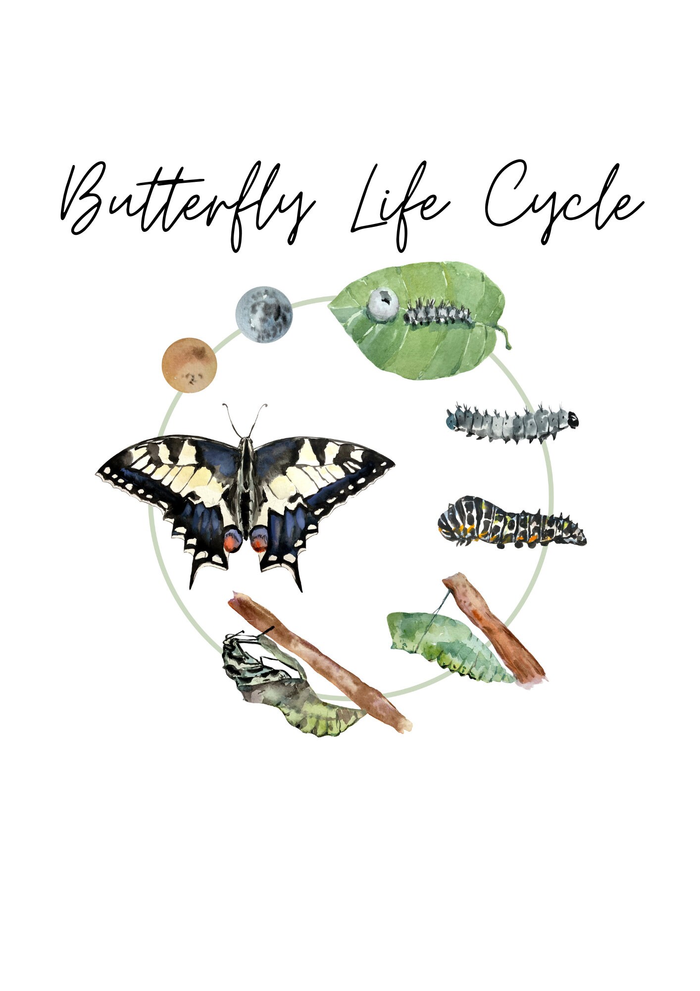 Life Cycle Bundle - Etsy