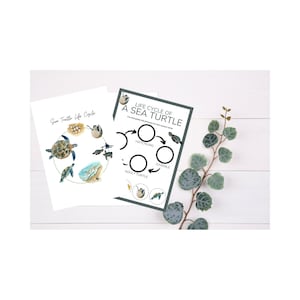 Sea Turtle Life Cycle Print + Sequencing Activity - Etsy