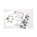 Sea Turtle Life Cycle Print + Sequencing Activity - Etsy