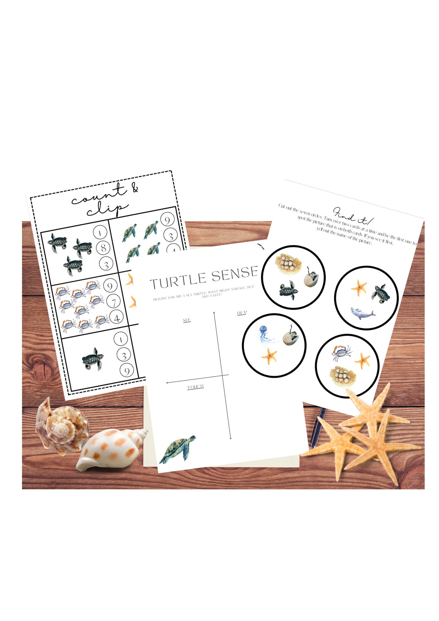 Sea Turtles Unit Study Montessori Homeschool - Etsy