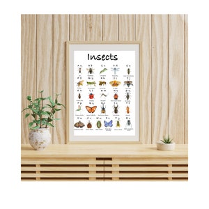 Insect Alphabet Printable Art - Etsy