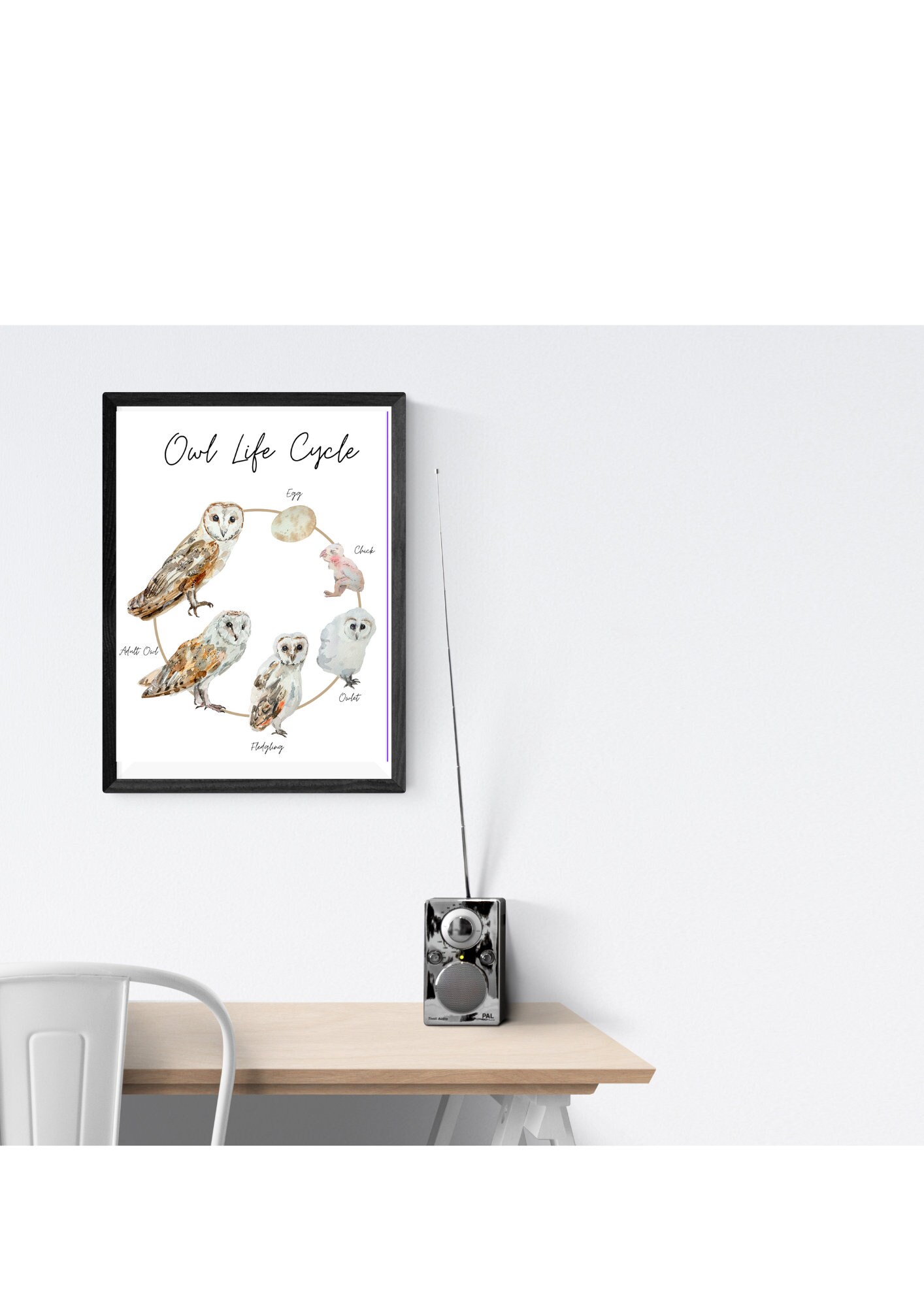 Owl Life Cycle Print - Etsy