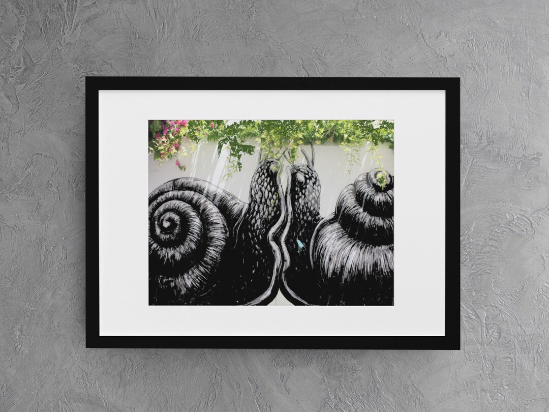Original Street Art, Snails on Wall by Roa, Contemporary Wall Art ...