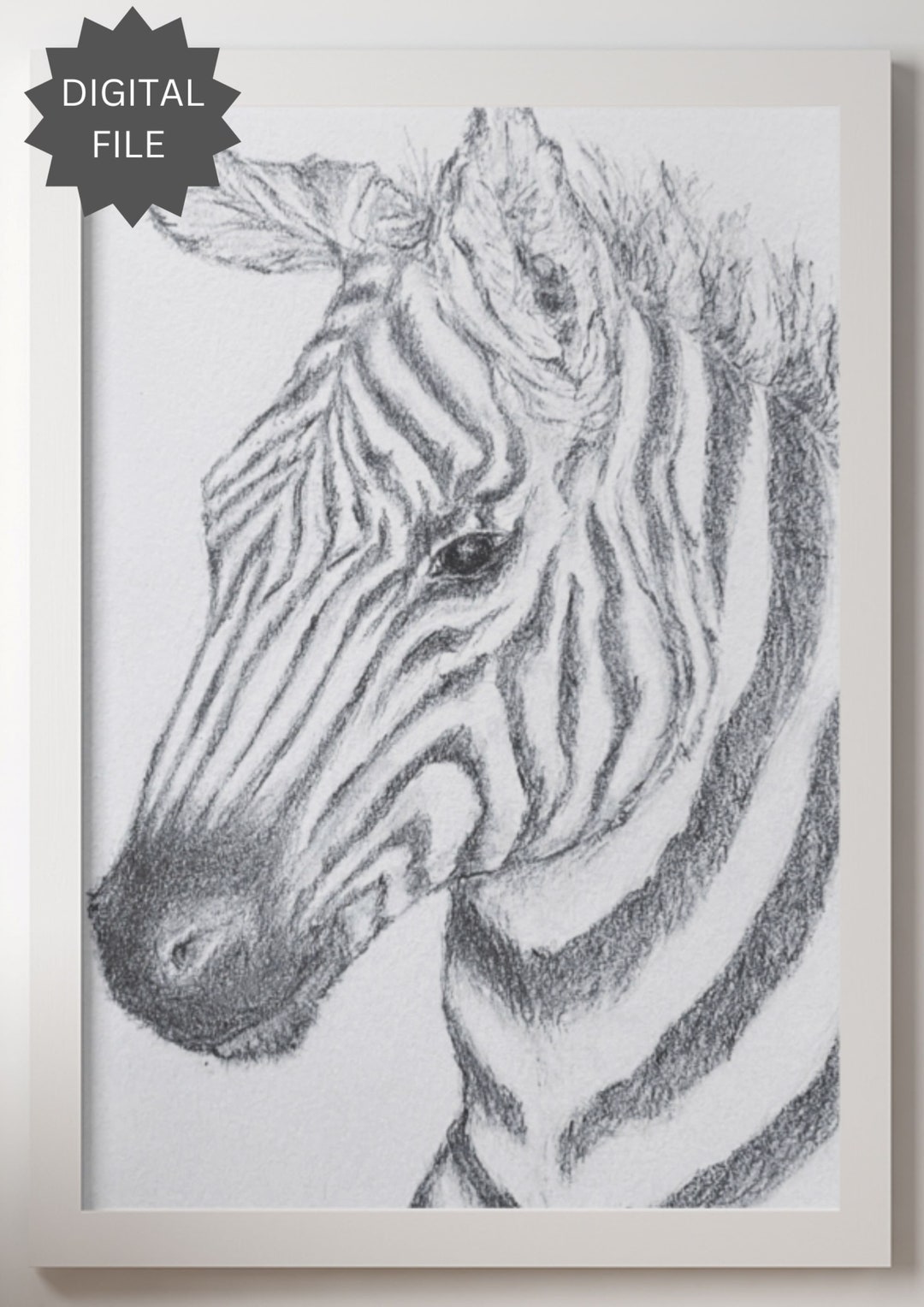 Zebra Graphite Drawing | African Animal Sketch Art (digital File) - Etsy