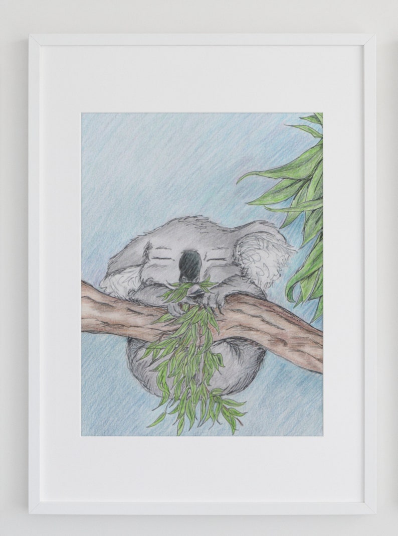 Koala Drawing PRINTABLE Pencil Art Outback Australian Wildlife Animal ...