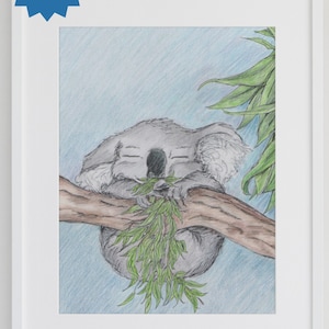 Koala Drawing PRINTABLE Pencil Art Outback Australian Wildlife Animal ...