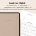 Cuaderno Digital Goodnotes iPad Español, Notability, 12 pestañas, 42 ...