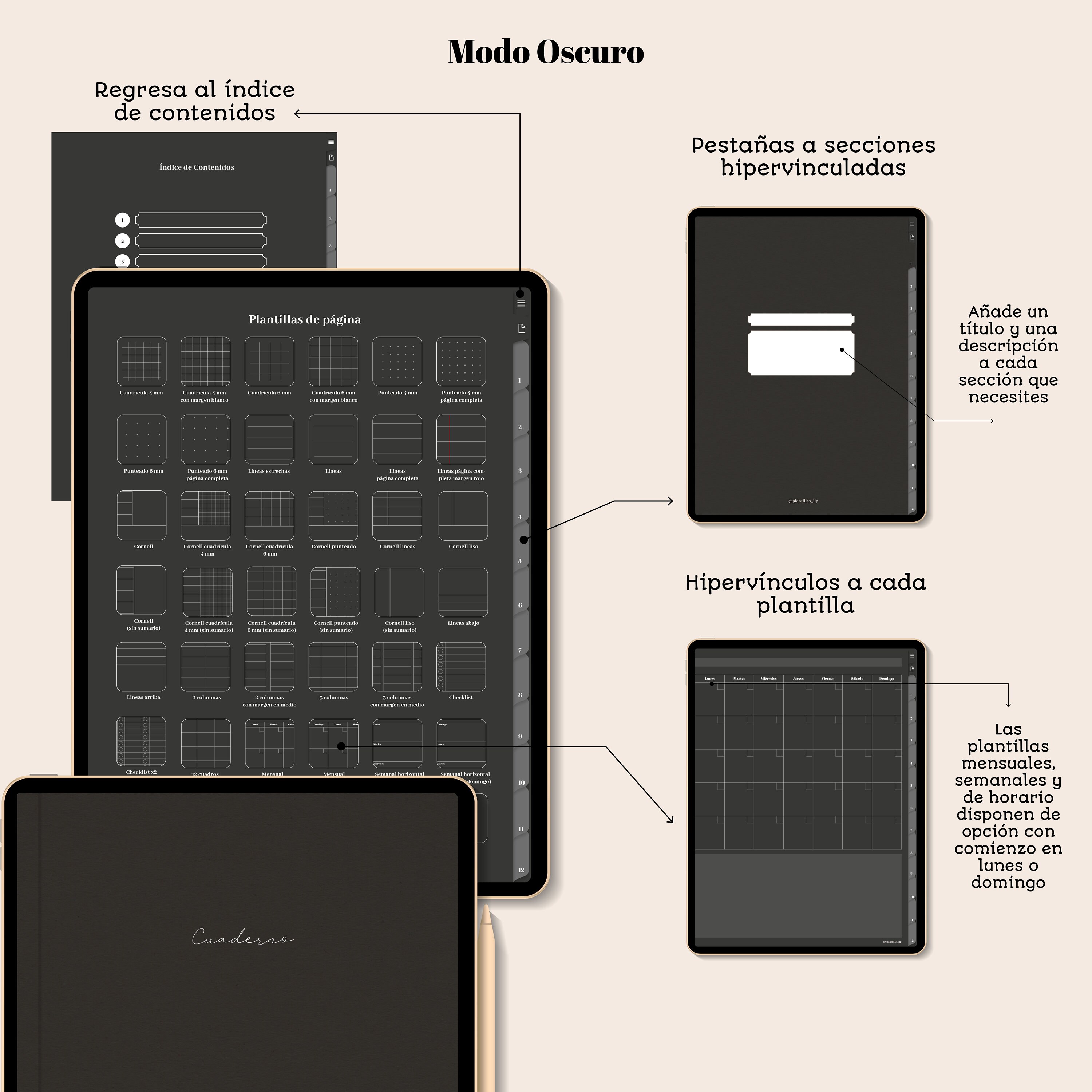 Cuaderno Digital Goodnotes iPad Español, Notability, 12 pestañas, 42 ...